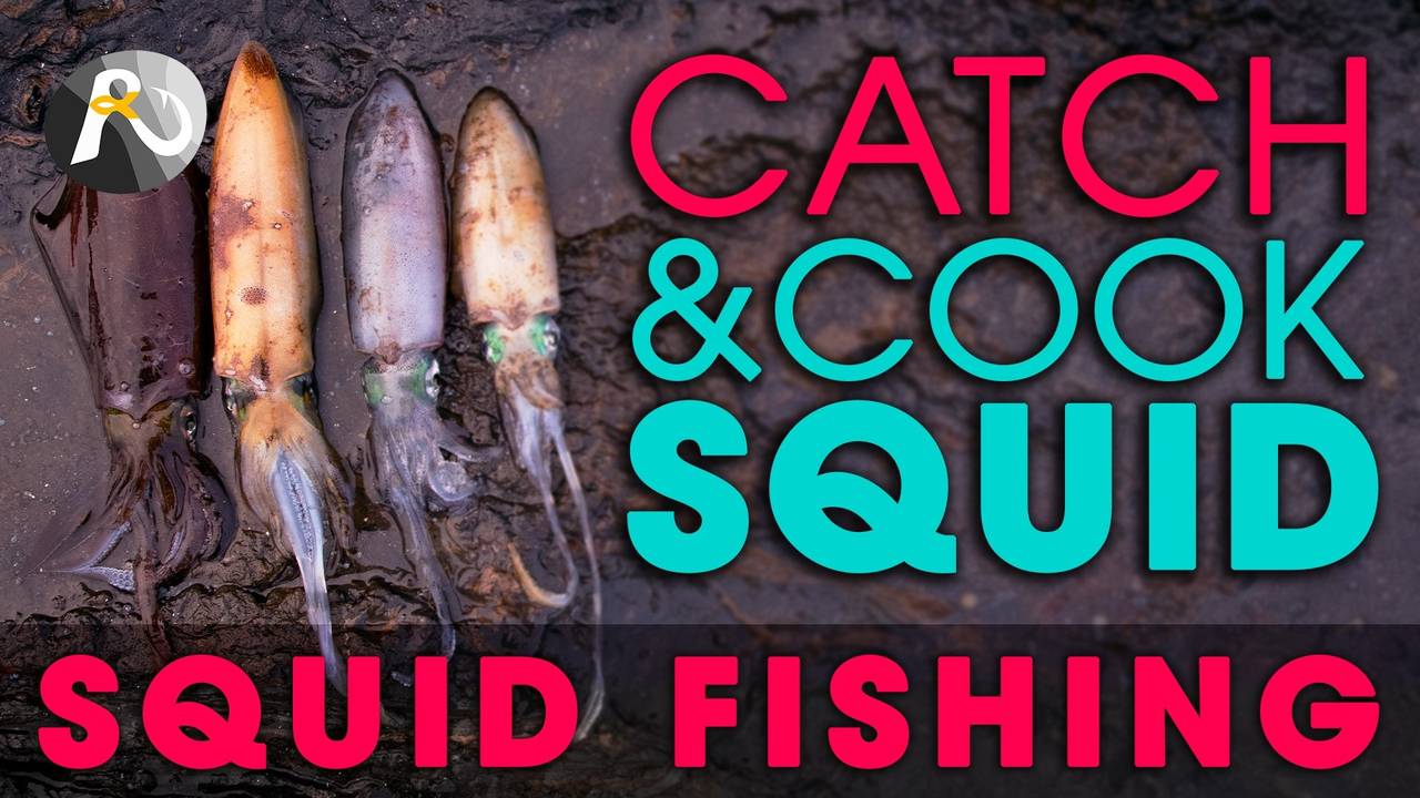 How To Catch & Cook Squid