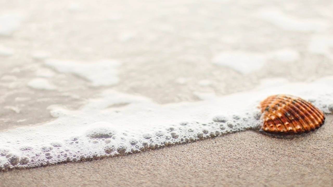 Aging and Longevity - Sudden Money Institute