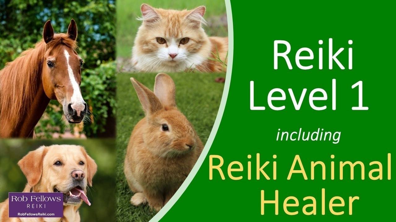 Reiki for Animals: Online Courses, Mentoring, IGCT Qualifications