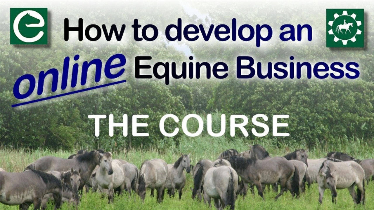 How to develop an online equine business