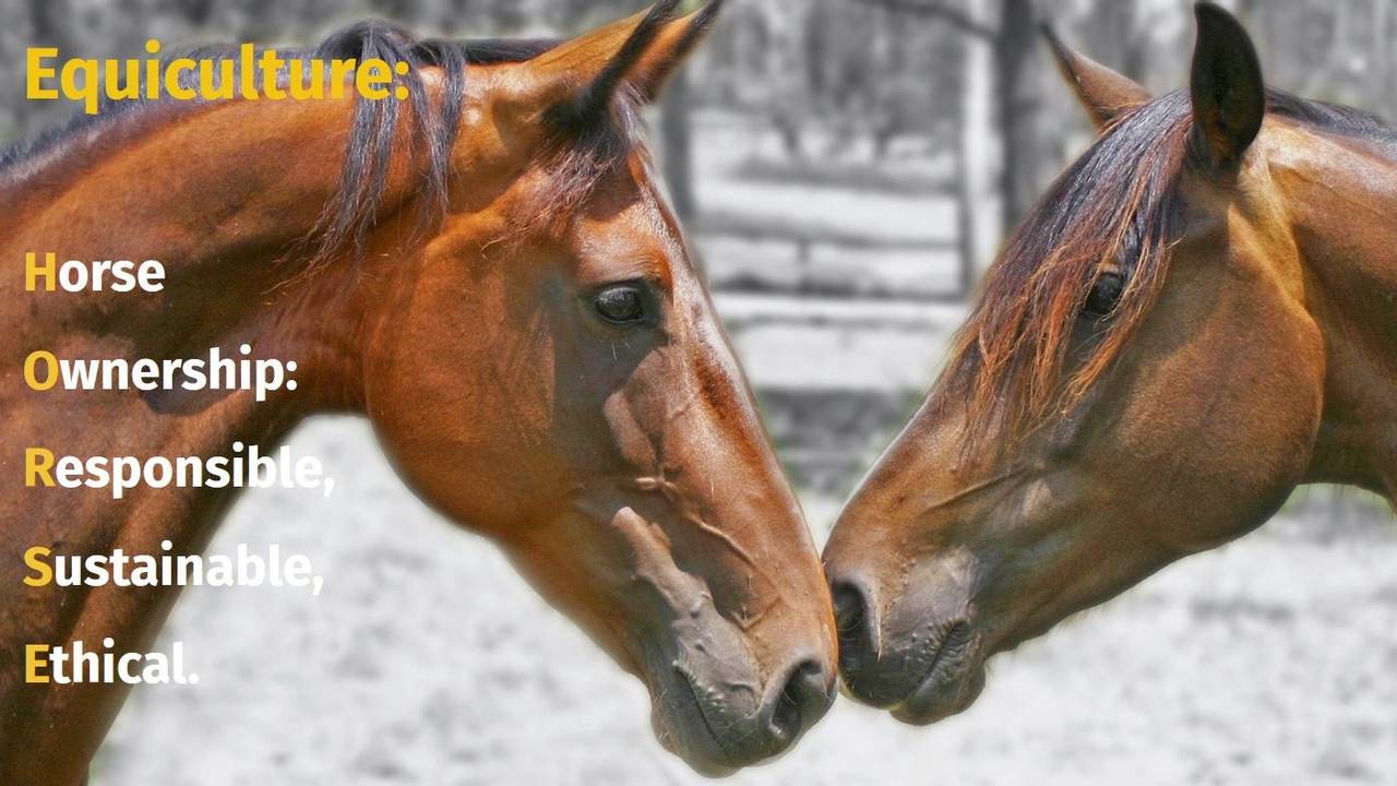 Ethical, responsible, sustainable horse ownership/management