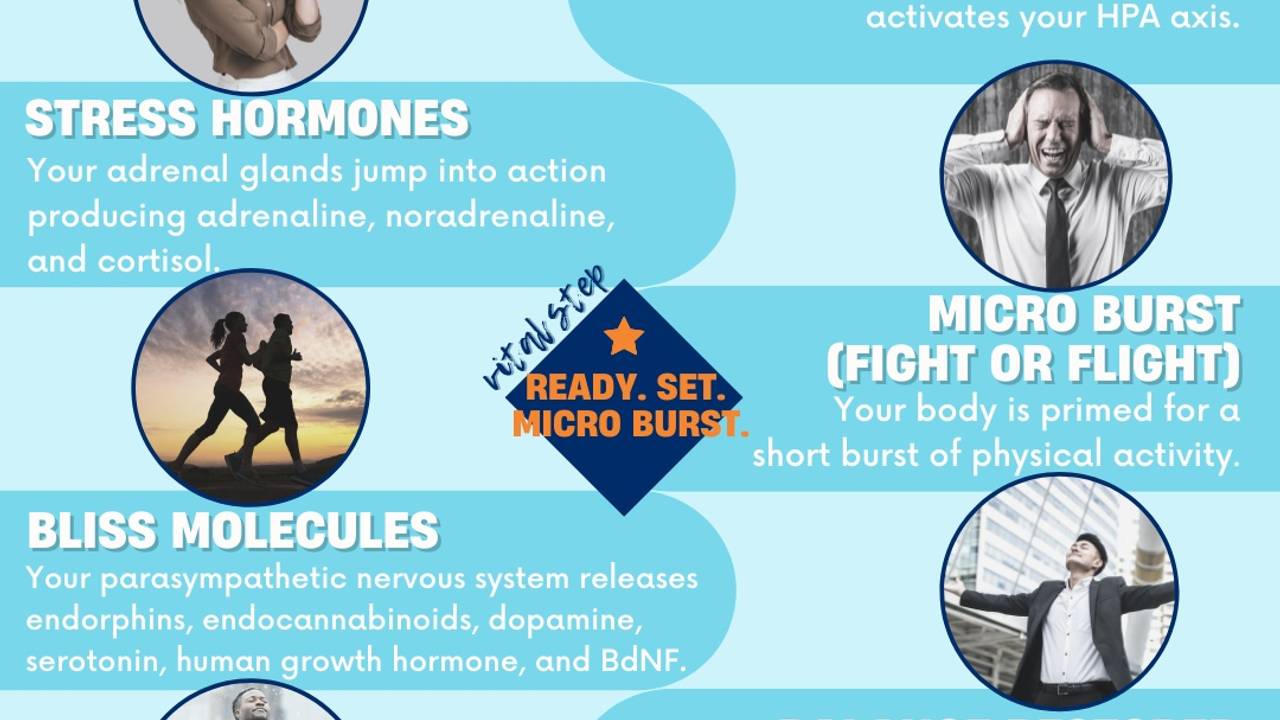 The explanation - and cure - for your stress in 60 seconds