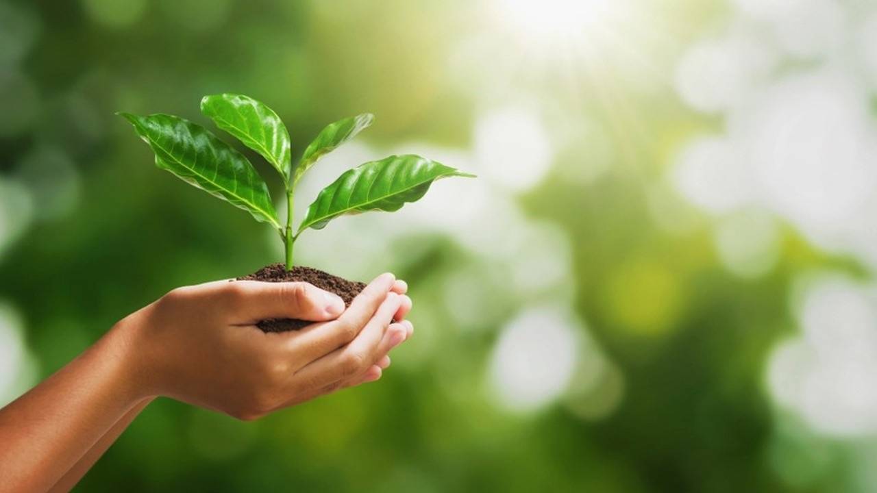 Reduce, reuse, recycle. Leave things better than you find them.