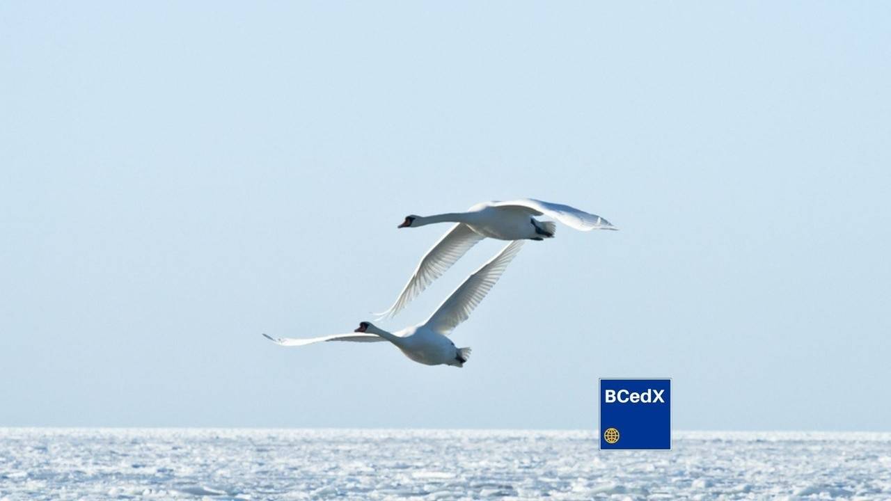 5 Keys for Great Teamwork. Aim High - Do Amazing Things Together!