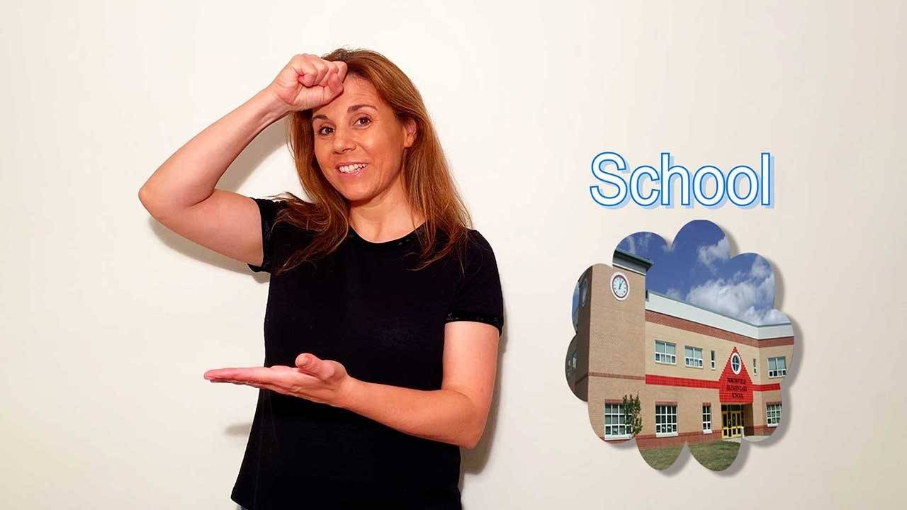 School Signs Review