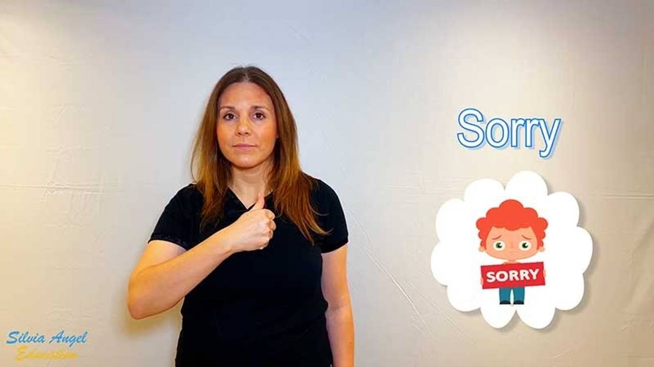 Lámh Sign For Sorry