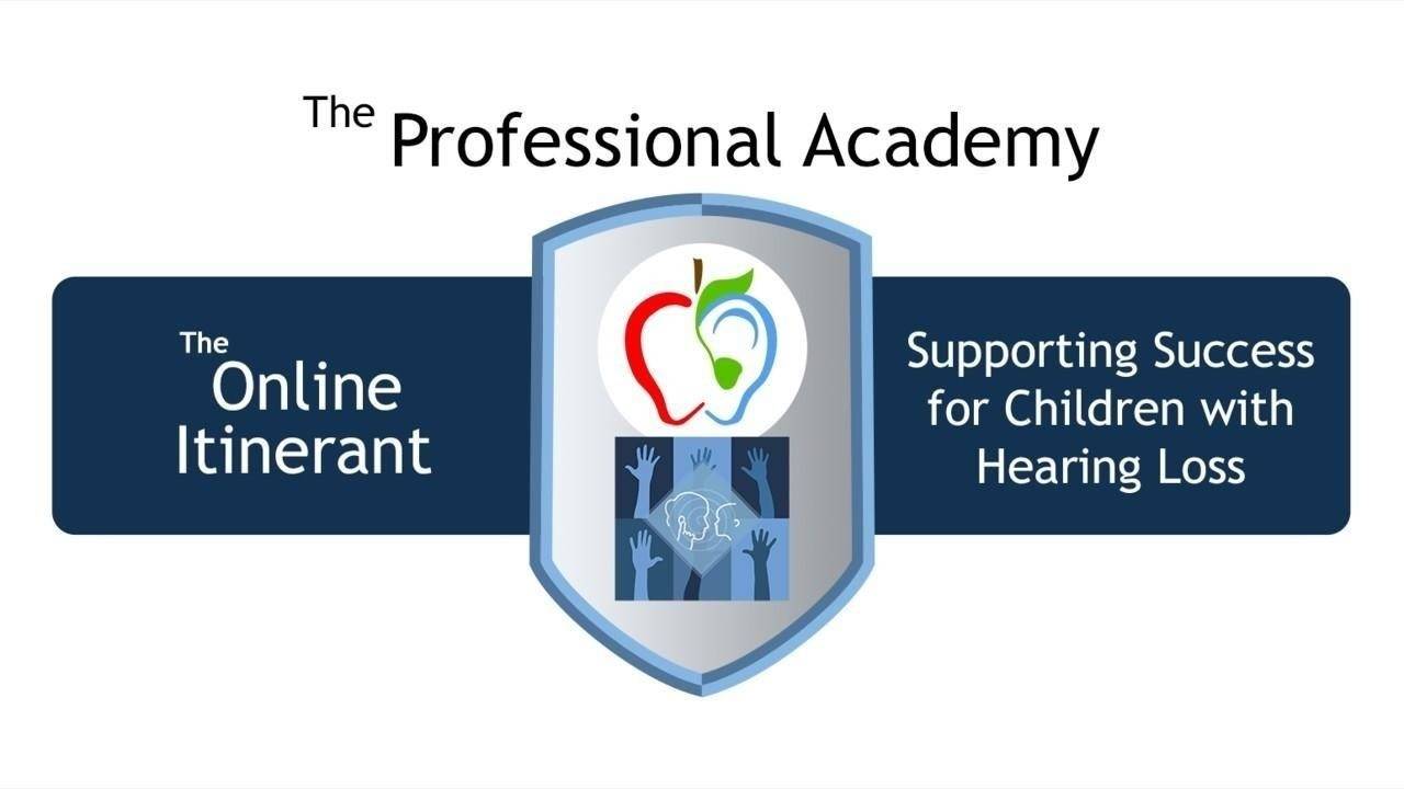 Professional Academy