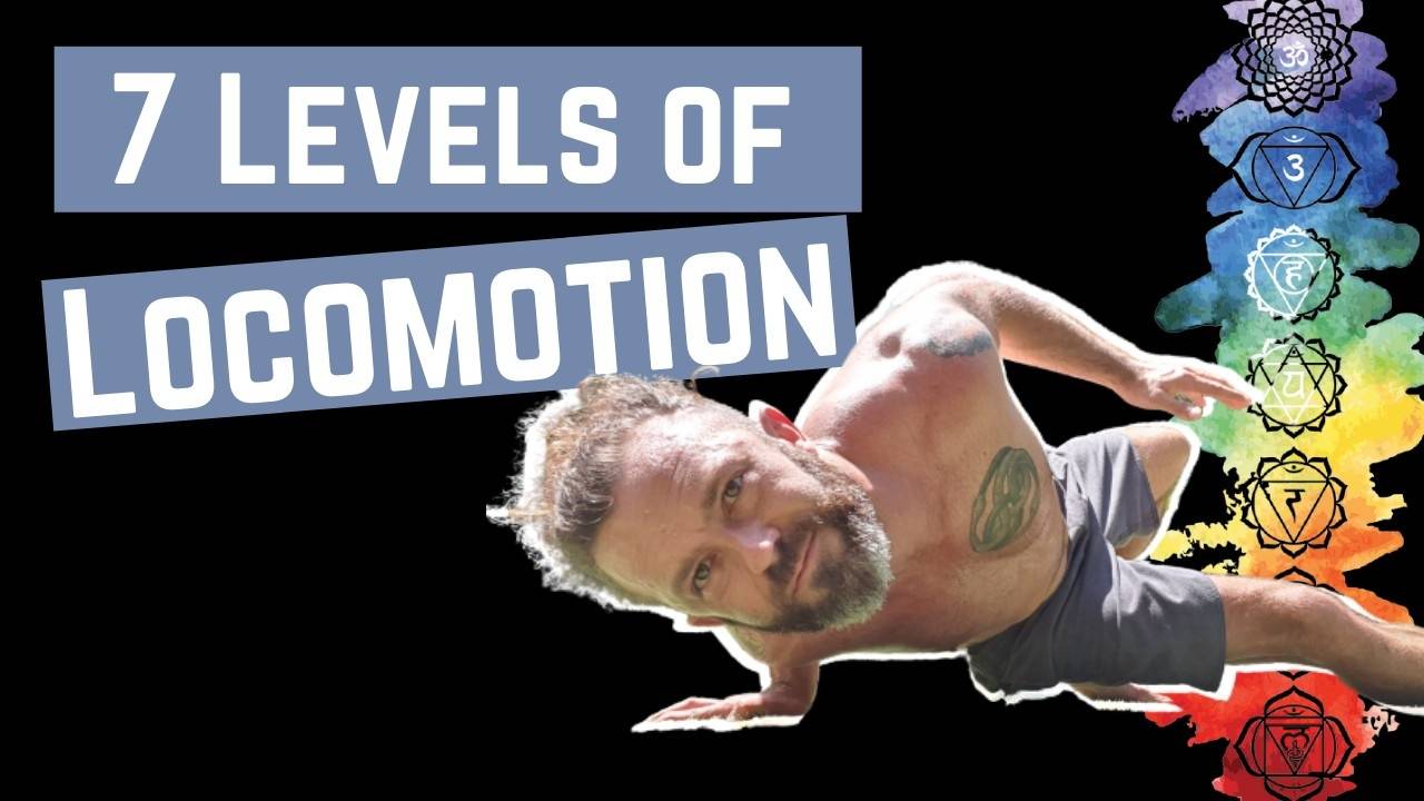 7 Levels of Locomotion
