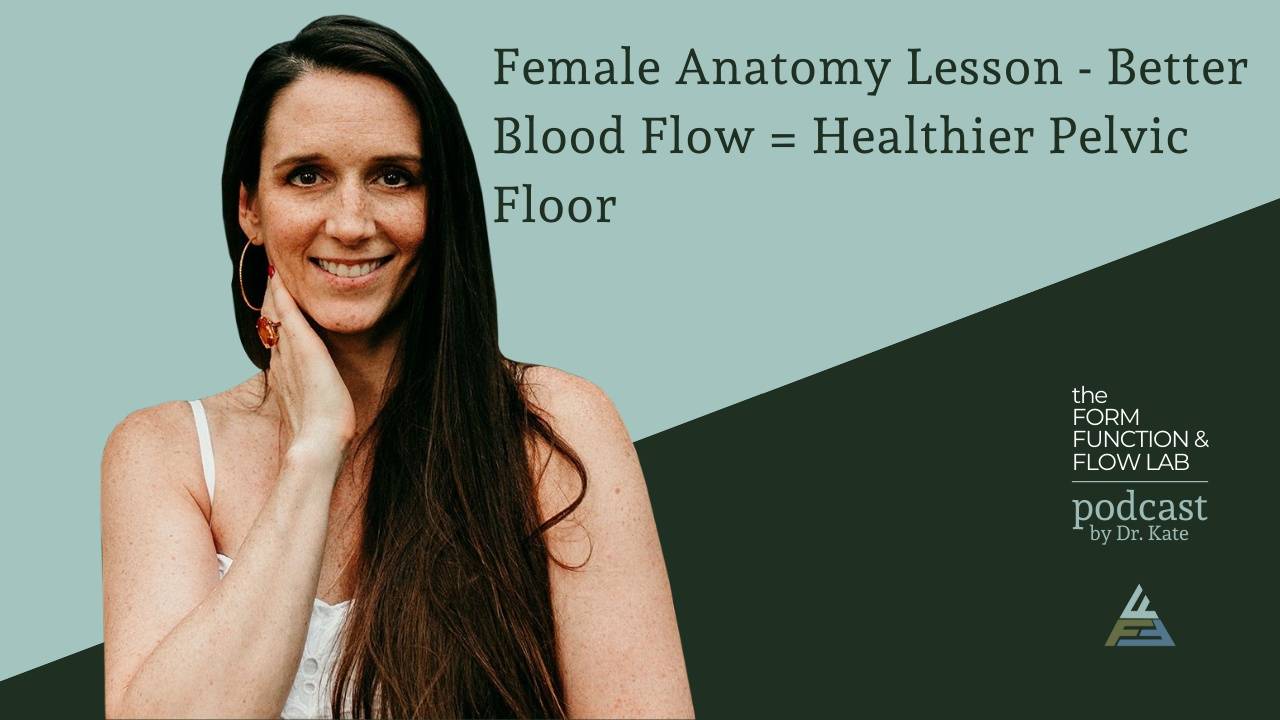 Female Anatomy Lesson - Better Blood Flow = Healthier Pelvic Floor