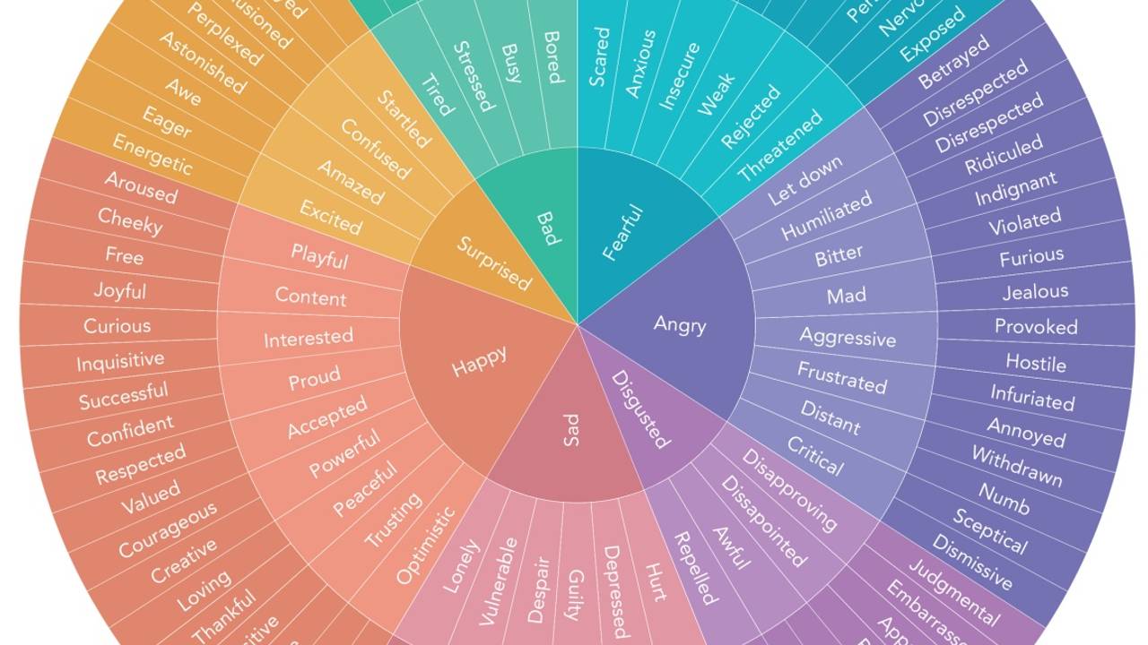 Feelings Wheel
