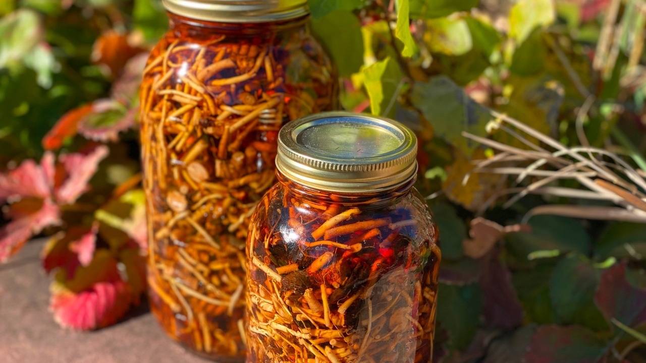 Herbal Medicine for Holistic Hormone Health | Dr Kaycie
