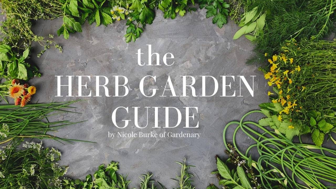 Welcome to the Herb Garden Guide