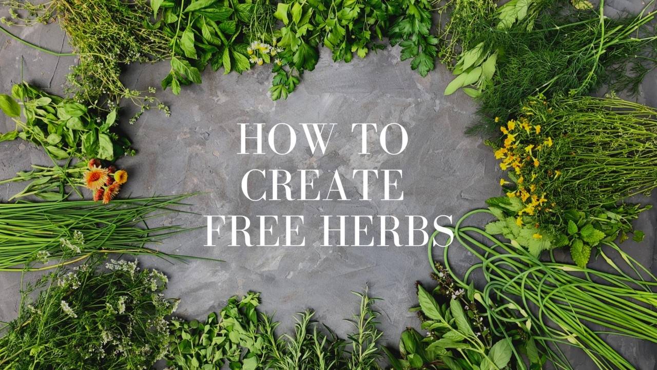Learn How to Create Free Herbs