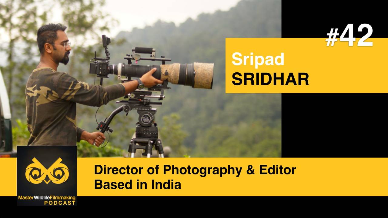 Sripad Sridhar - Director of Photography Based in India