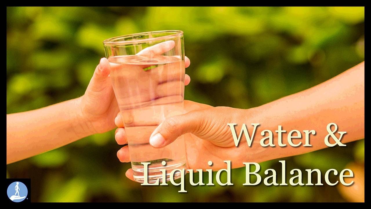 Water and Liquid Balance