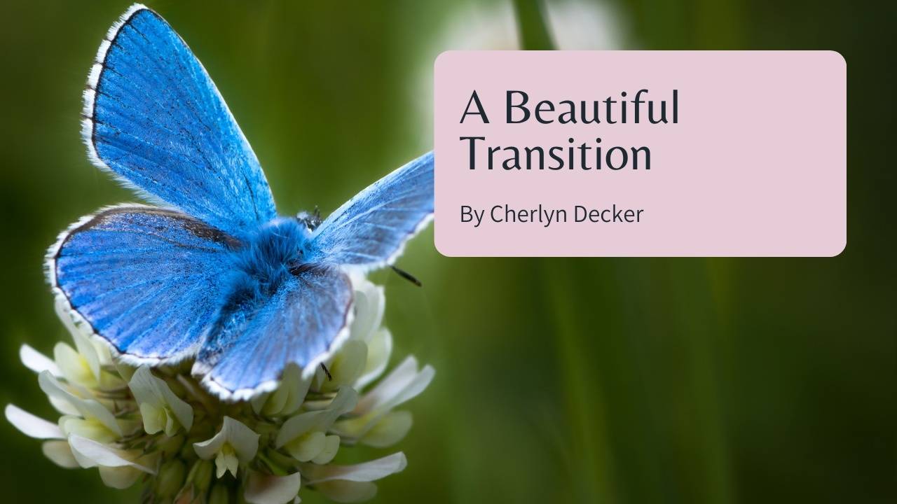 A Beautiful Transition