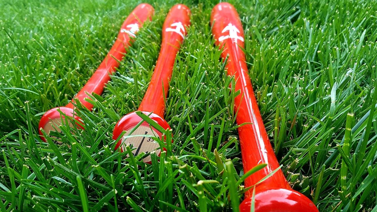 Get Your FREE 'Weighted Swing Training' Video