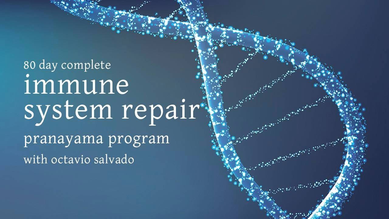 80 Day Complete Immune System Repair Pranayama Program