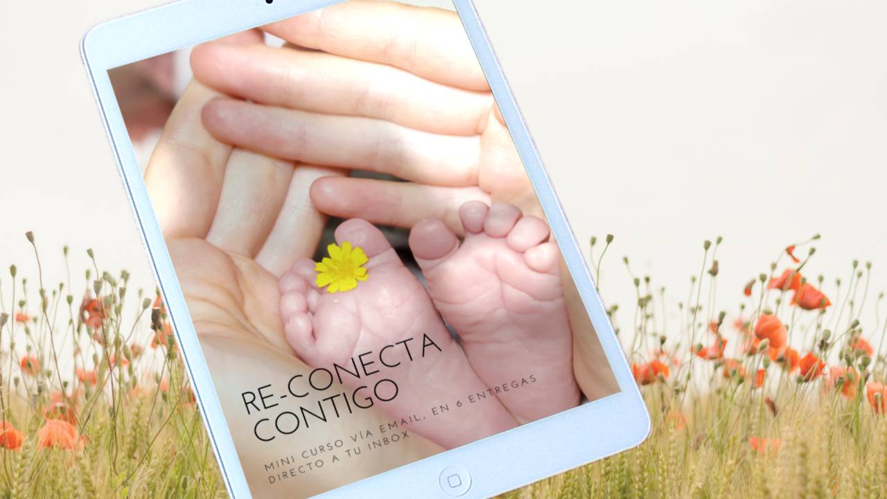Mini Curso > Re-Conecta Contigo