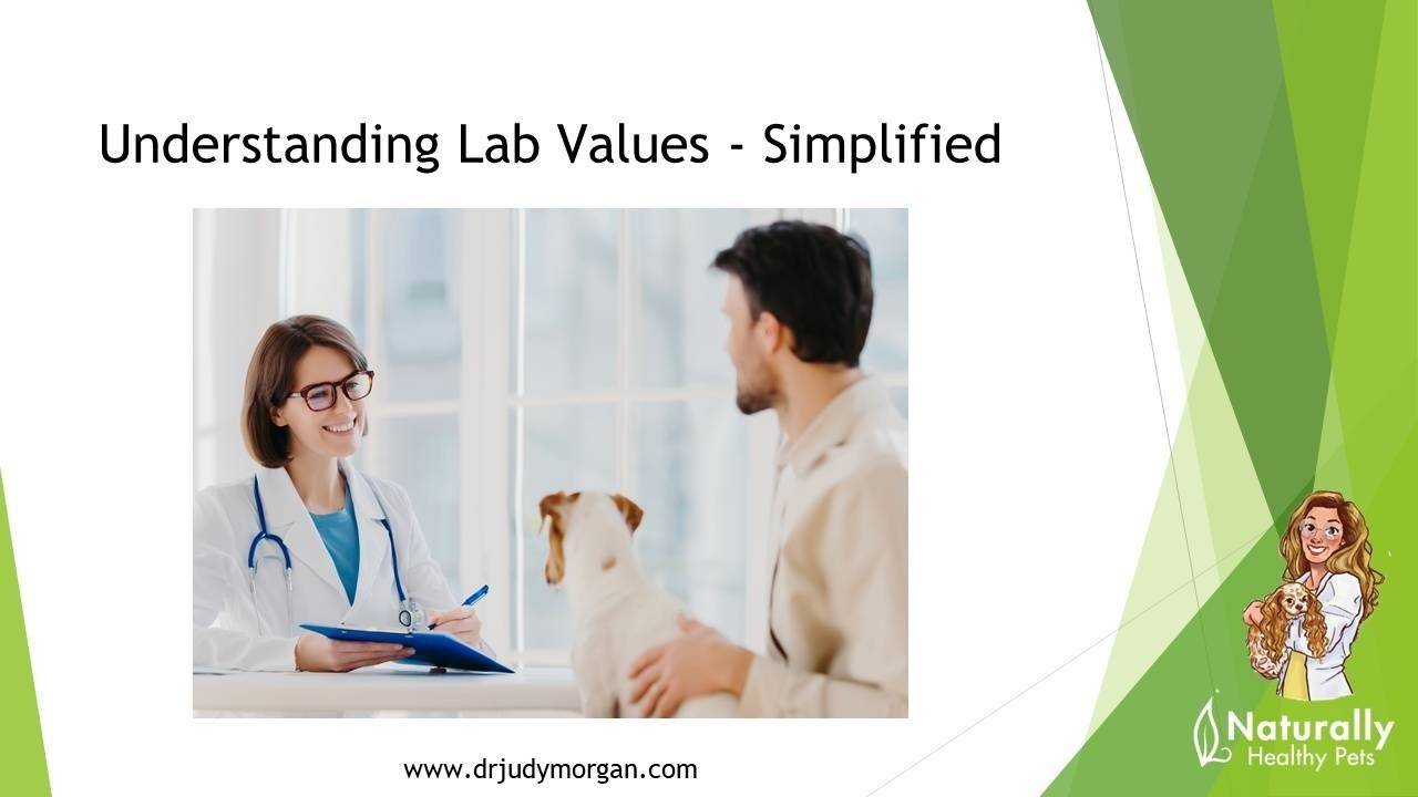 Understanding Lab Values - Simplified