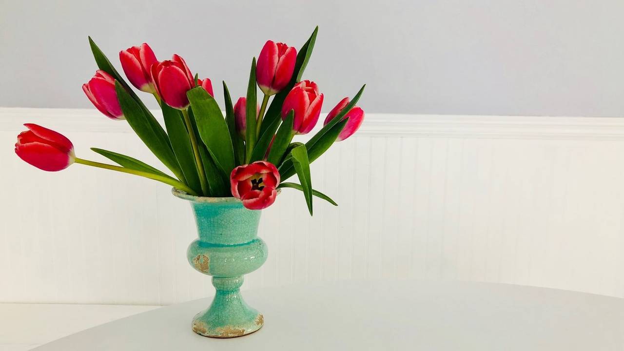 blomma {revealed}