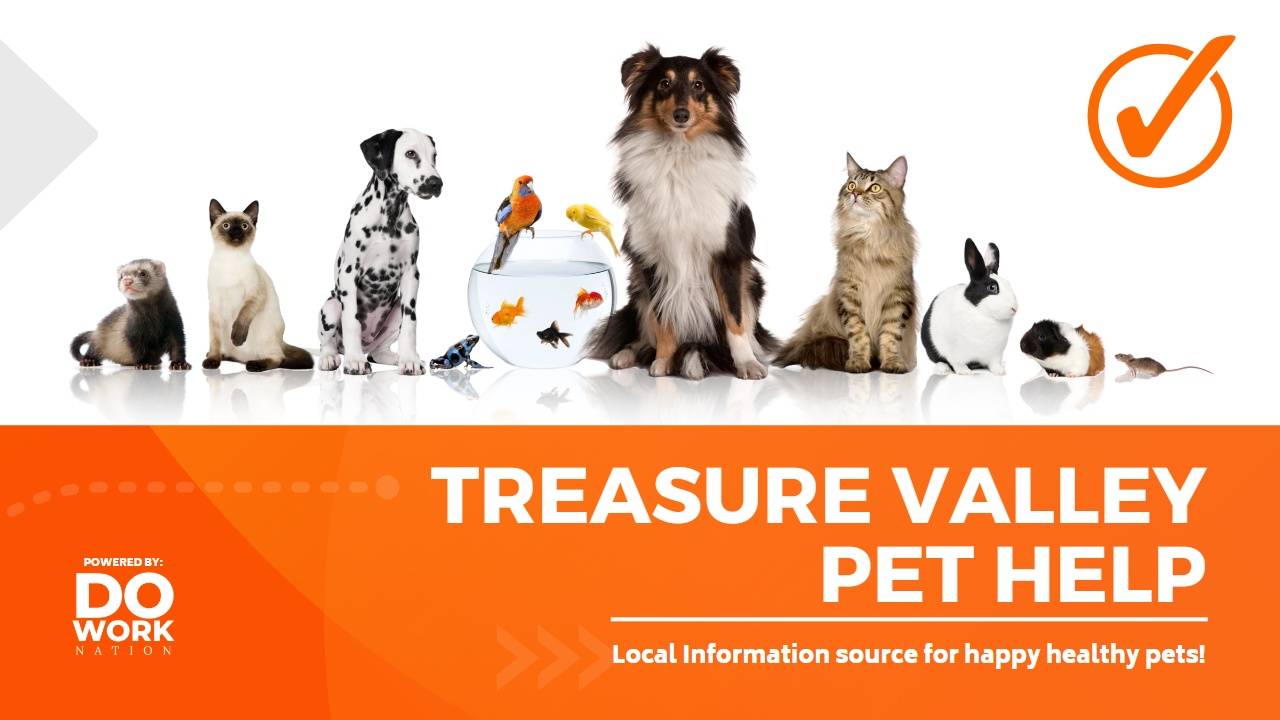 Pet Help | Treasure Valley