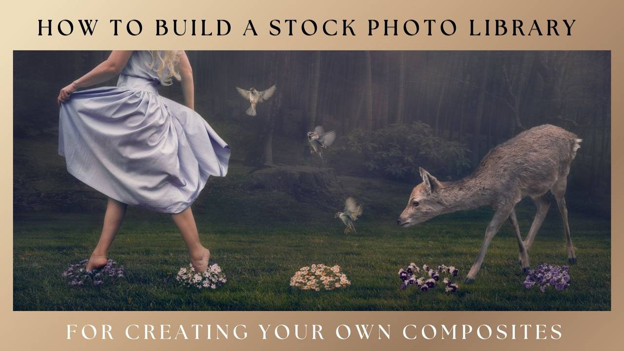 How to build a stock photo library for creating your own composites