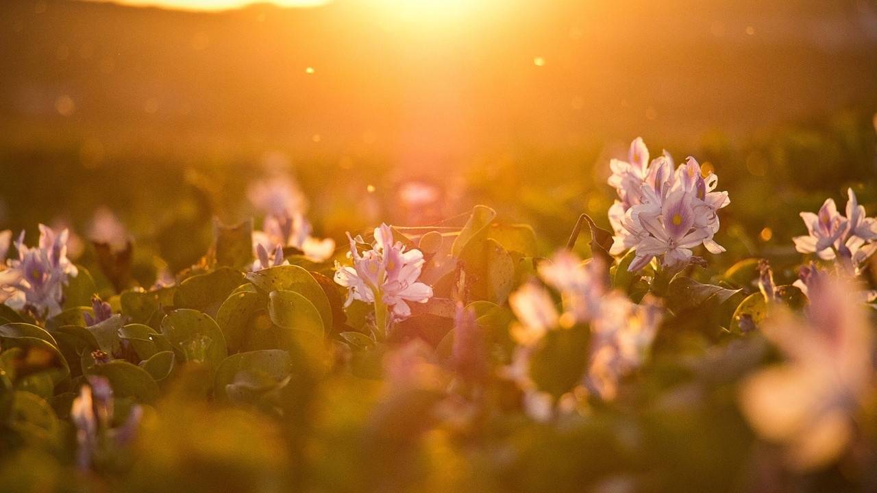 Leverage Summer Energy to Shine