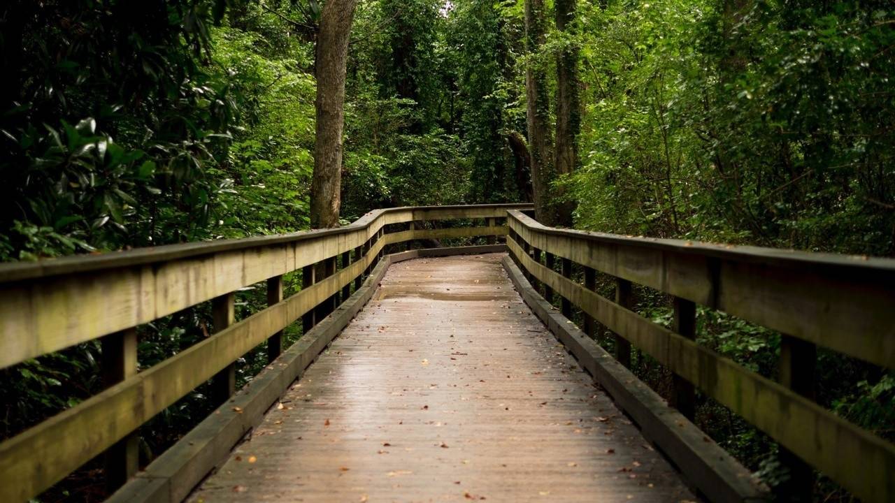 How to Tell if You’re in an Evolutionary Bottleneck (and What to Do)