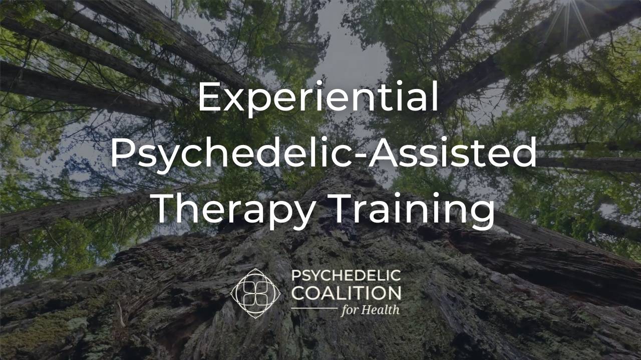 Application: Experiential Psychedelic-Assisted Therapy Training