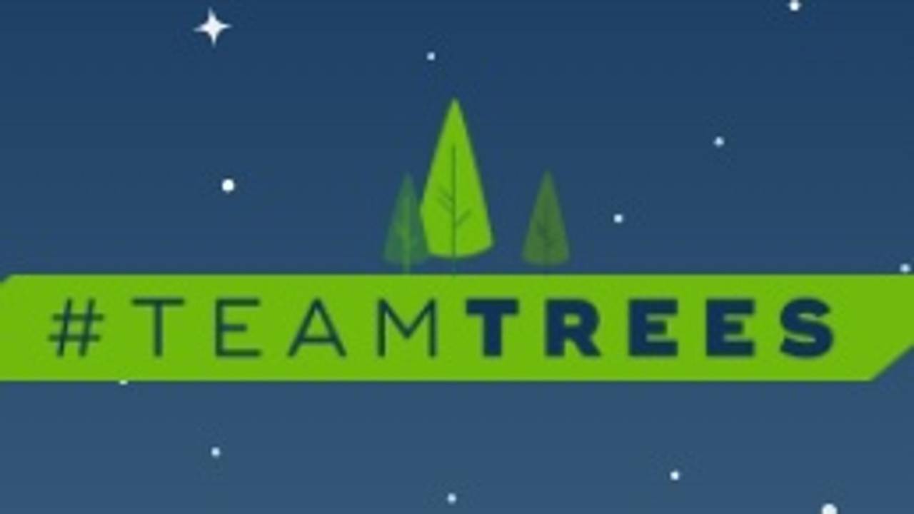 TeamTrees.org