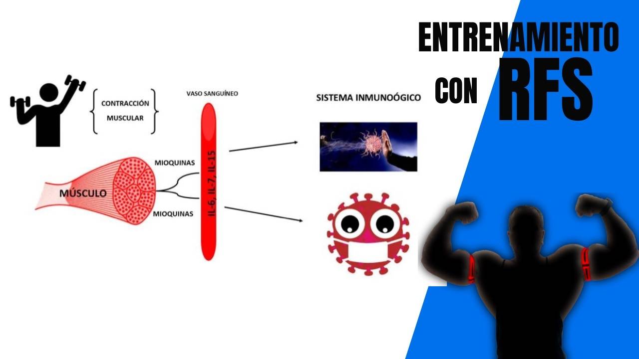 Mioquinas (Interleuquina-6) y entrenamiento con RFS
