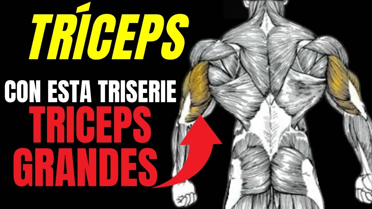 Triserie de tríceps para un desarrollo completo