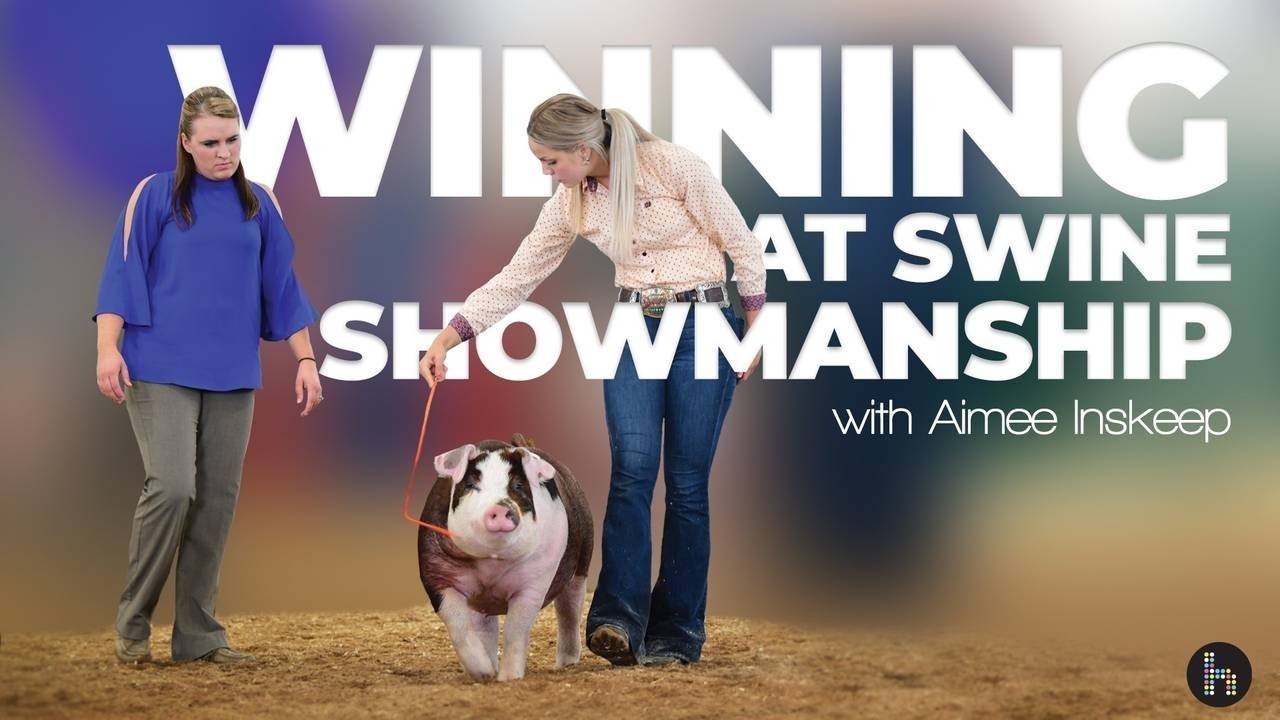 Winning at Swine Showmanship
