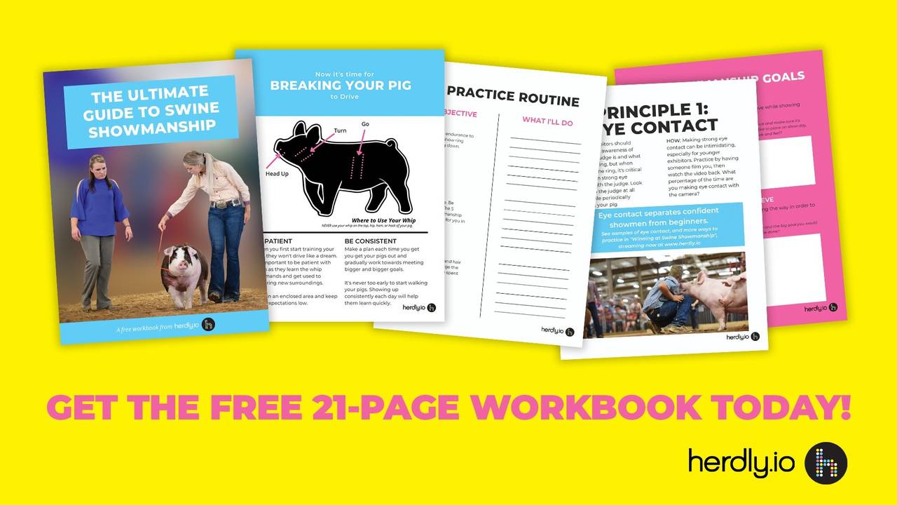 The Ultimate Guide to Swine Showmanship