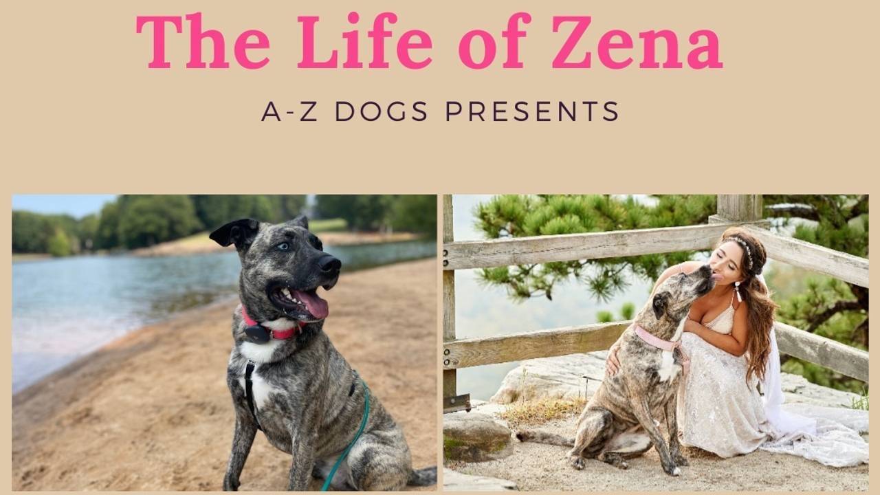 My Pack: The Story of Zena