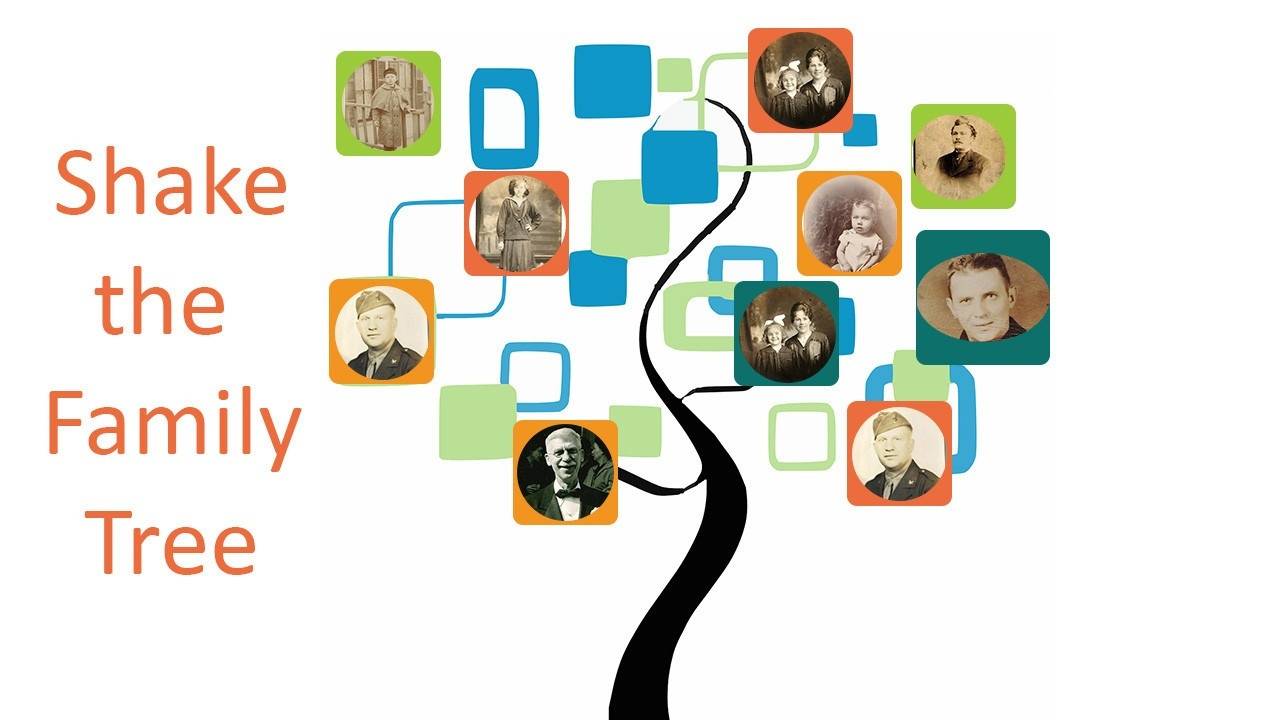 Shake the Family Tree