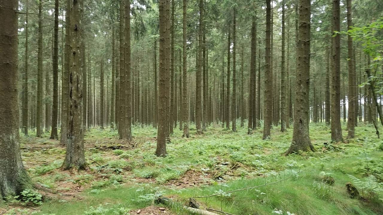 Channeled Writing - Do You Know What They Did?