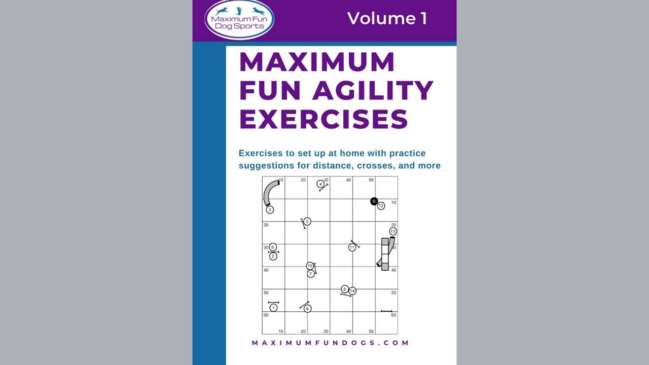 Agility Exercises Volume 1 | Downloadable Exercise Book Available