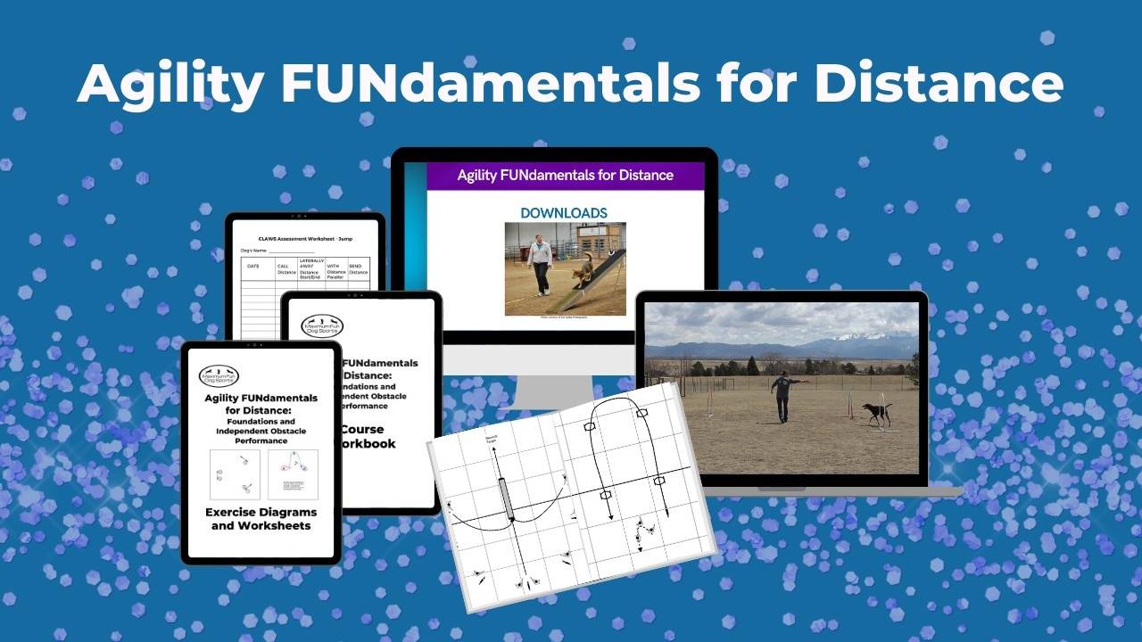 Dog Agility Distance Training | Agility FUNdamentals for Distance