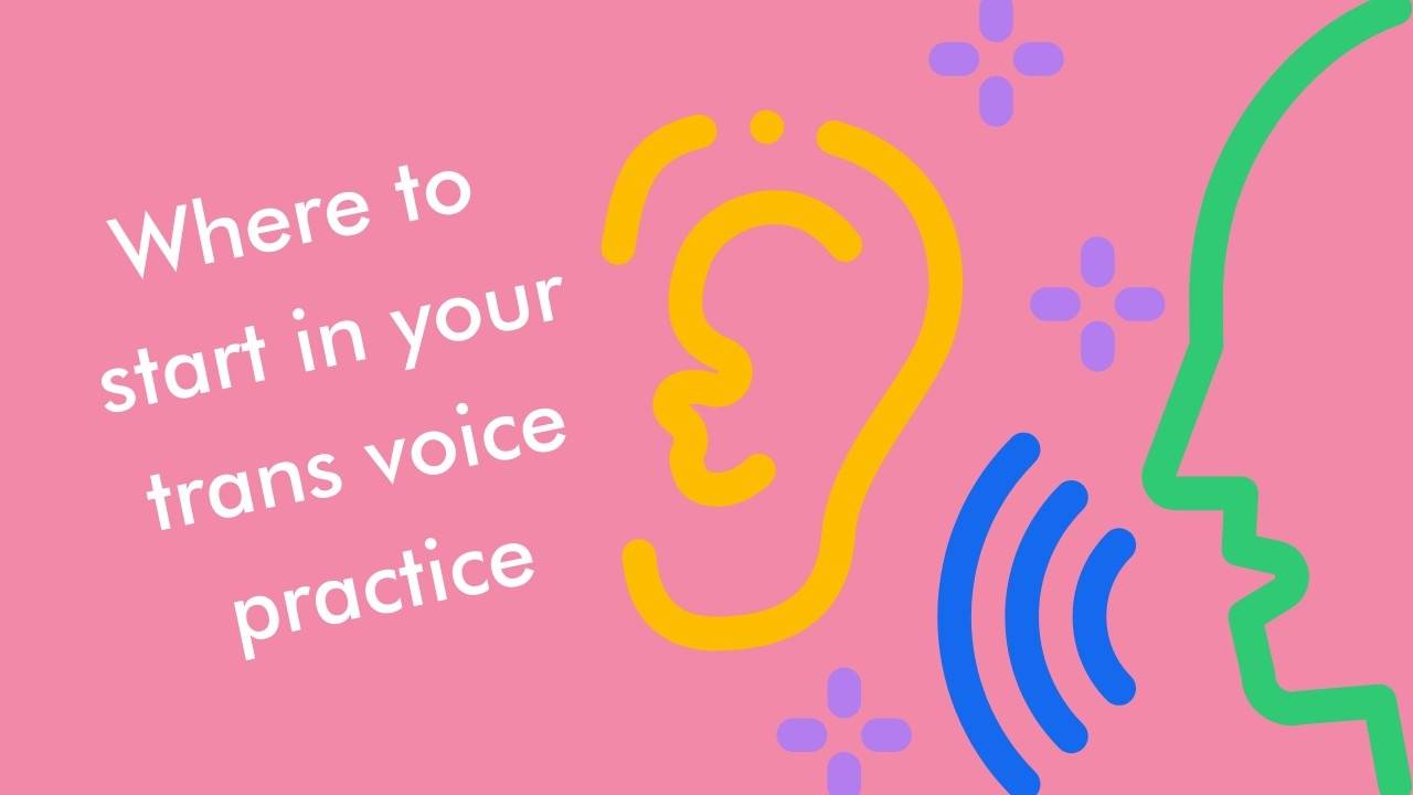 So you want to alter your voice... where do you start?