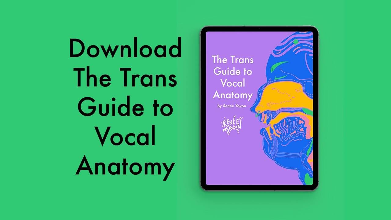 The Trans Guide to Vocal Anatomy eBook