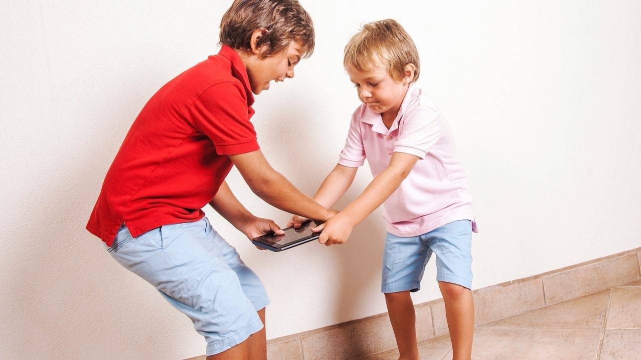 Sibling Rivalry is a battle for parental attention and favortism