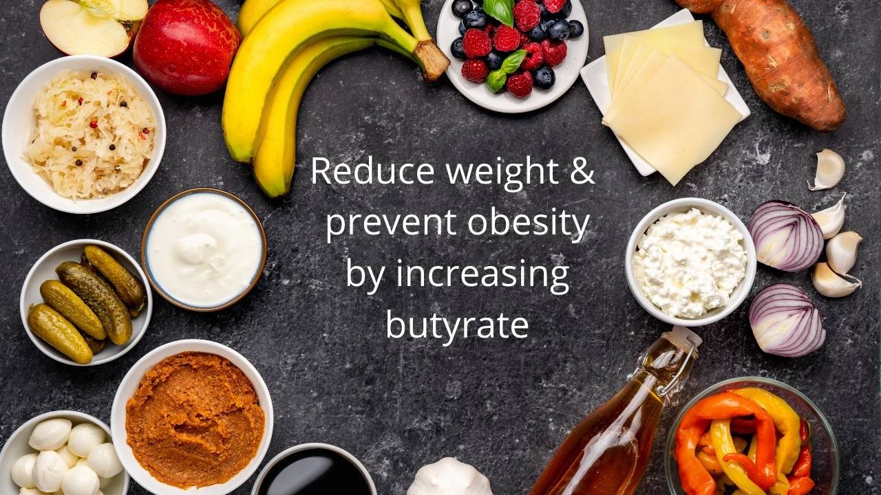 Why encouraging butyrate in our gut reduces weight & prevents obesity