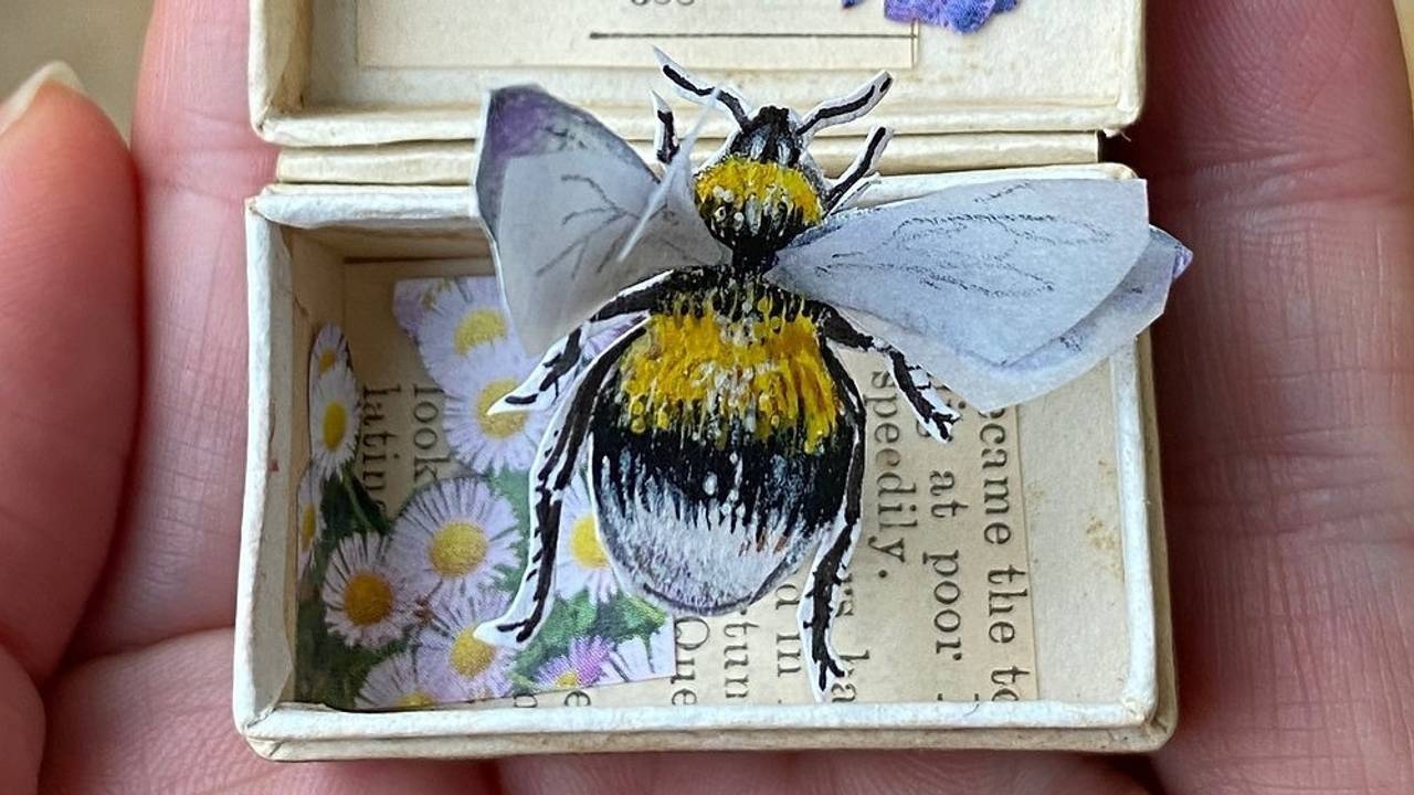 Buzz in a box: An Illustrated Insectarium