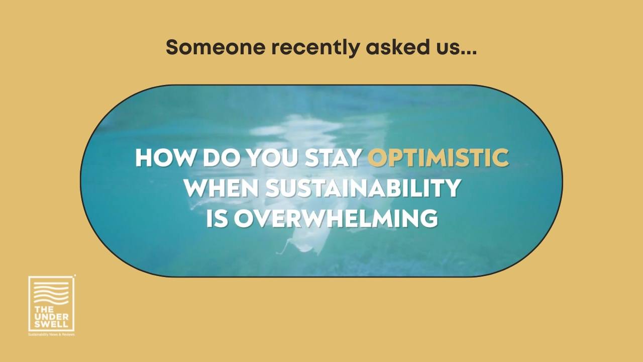 Staying Optimistic When Sustainability Seems Overwhelming