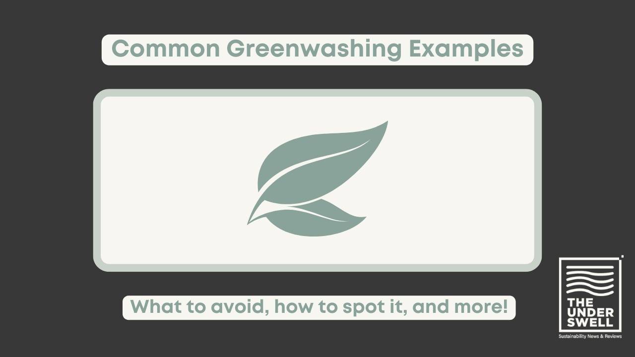 Common Greenwashing Examples