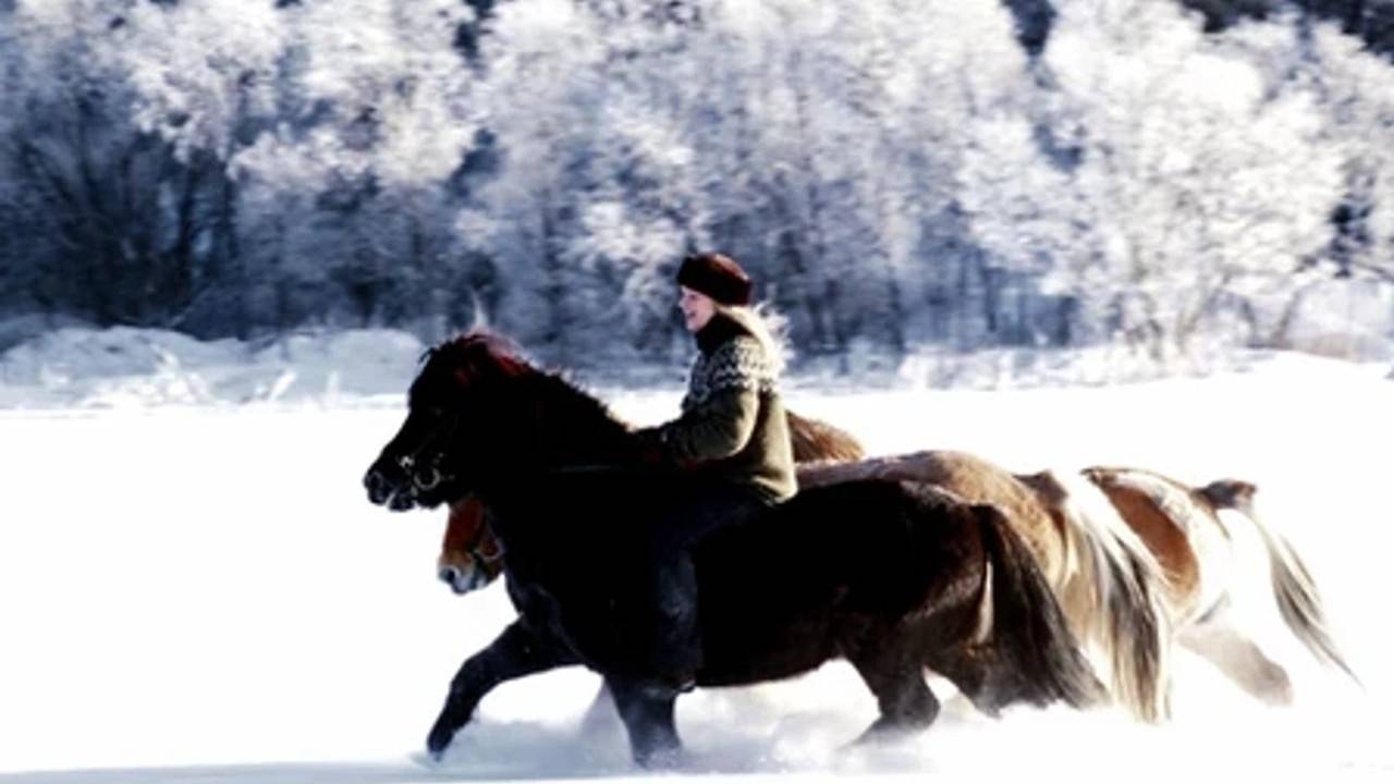 The benefits of riding with hand horse, also called ponying