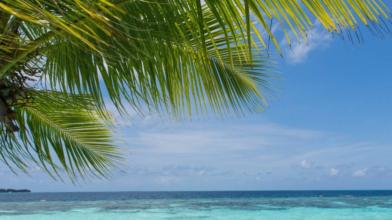 Draw Your Happy Place at the Beach