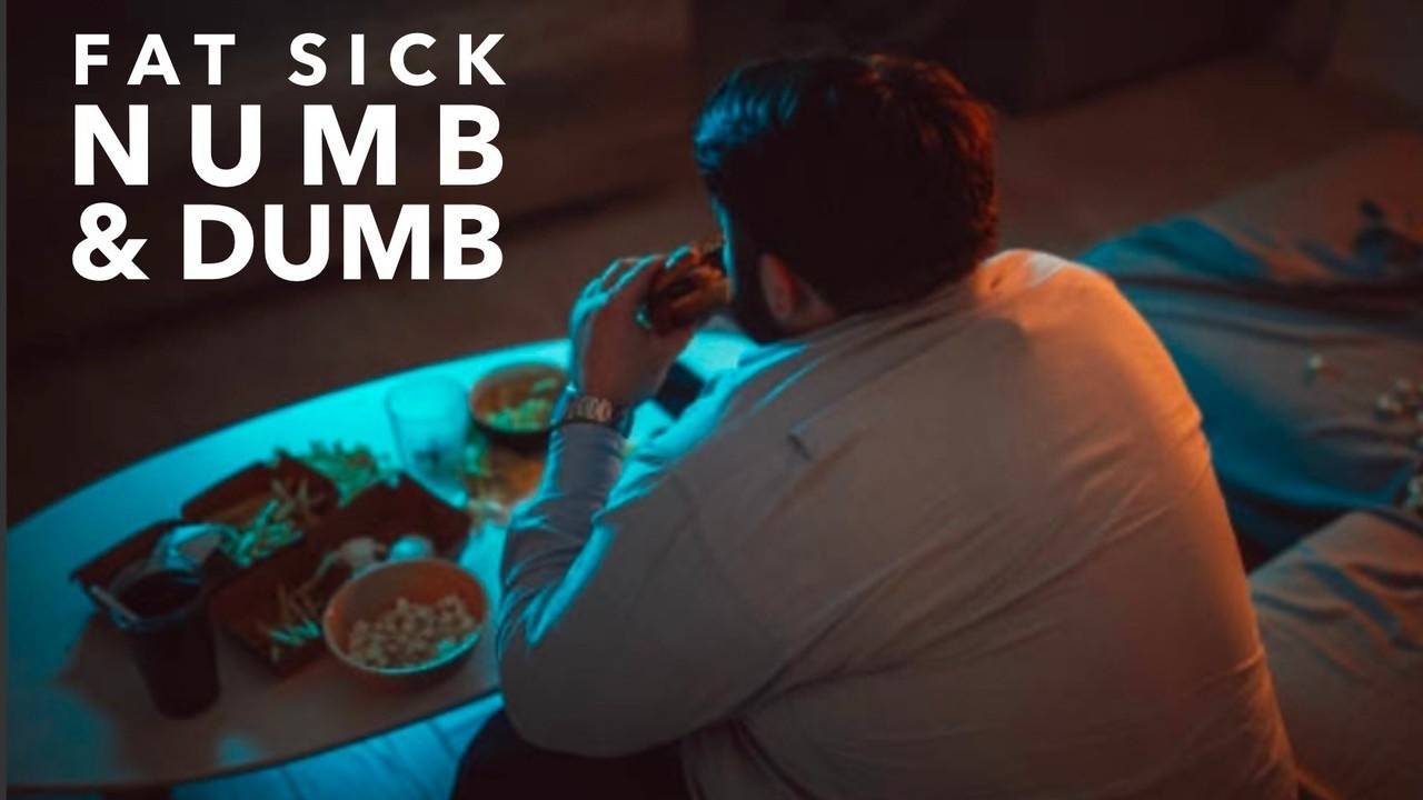 Fat, Sick, Numb & Dumb